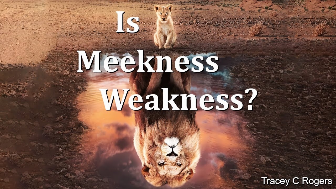 Is Meekness Weakness? - Tracey C Rogers - YouTube