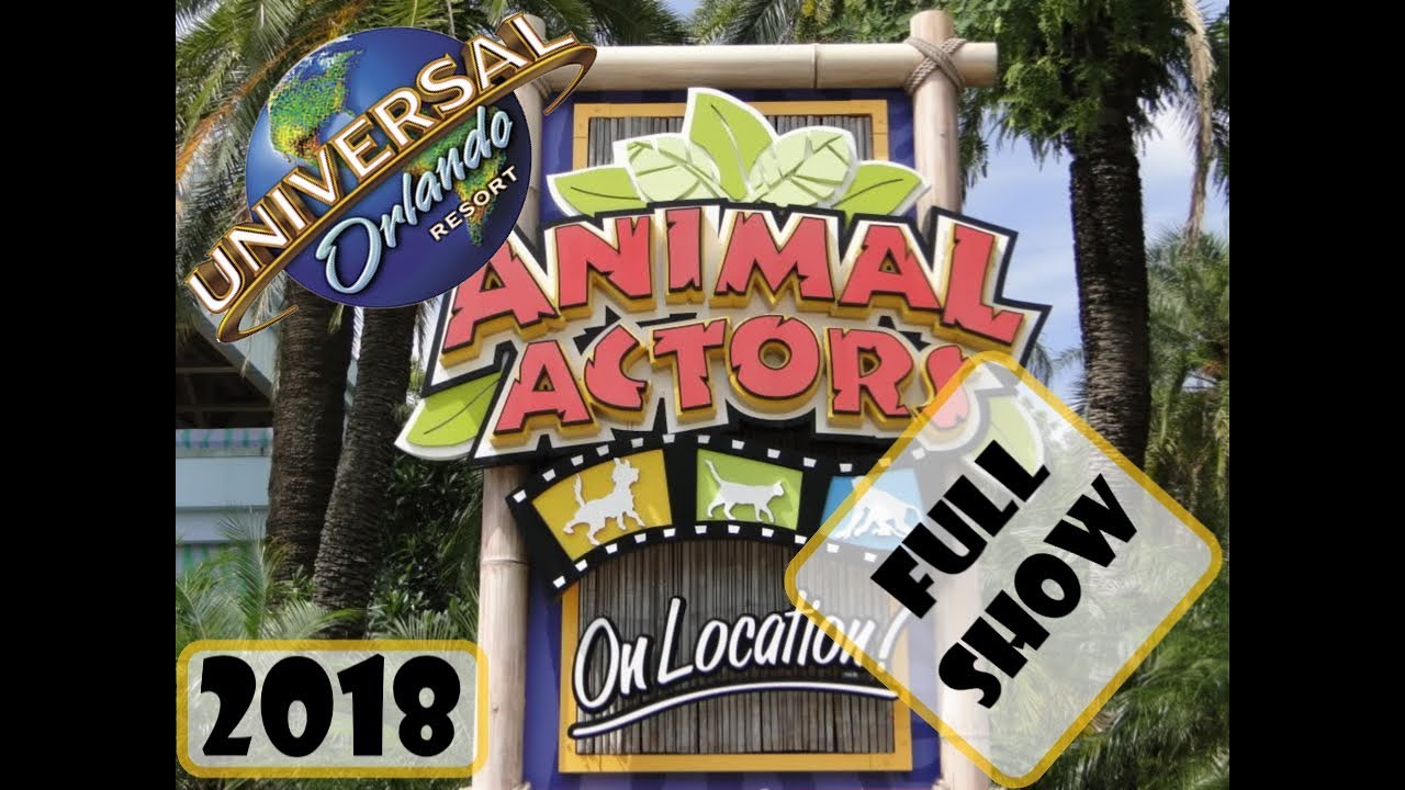 Animal Actors Universal Studios Orlando (2018) - YouTube