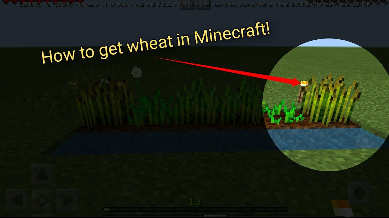How to plant wheat in Minecraft pocket edition. - YouTube