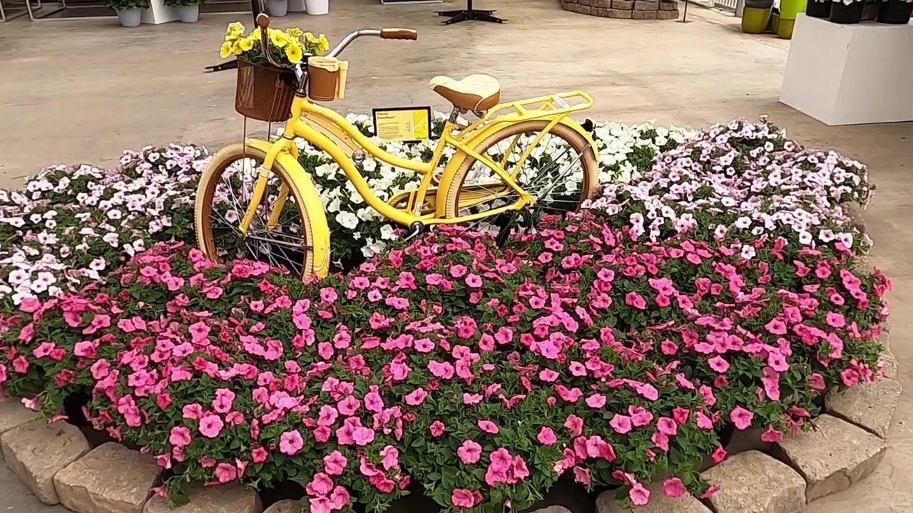 ColorRush Petunia from Ball FloraPlant - YouTube