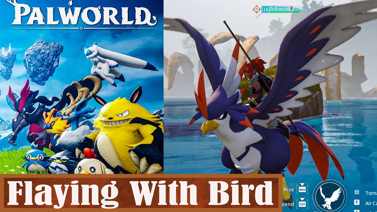 Palworld Flaying With Bird - YouTube