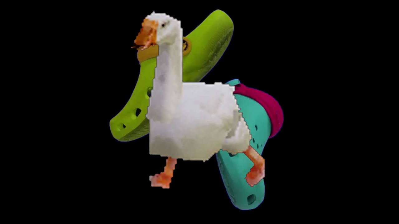 Polish goose runs away from flogging - YouTube