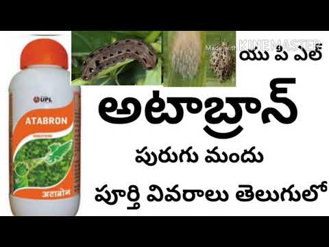atabron insecticide full details in telugu by https://www.youtube.com/c ...