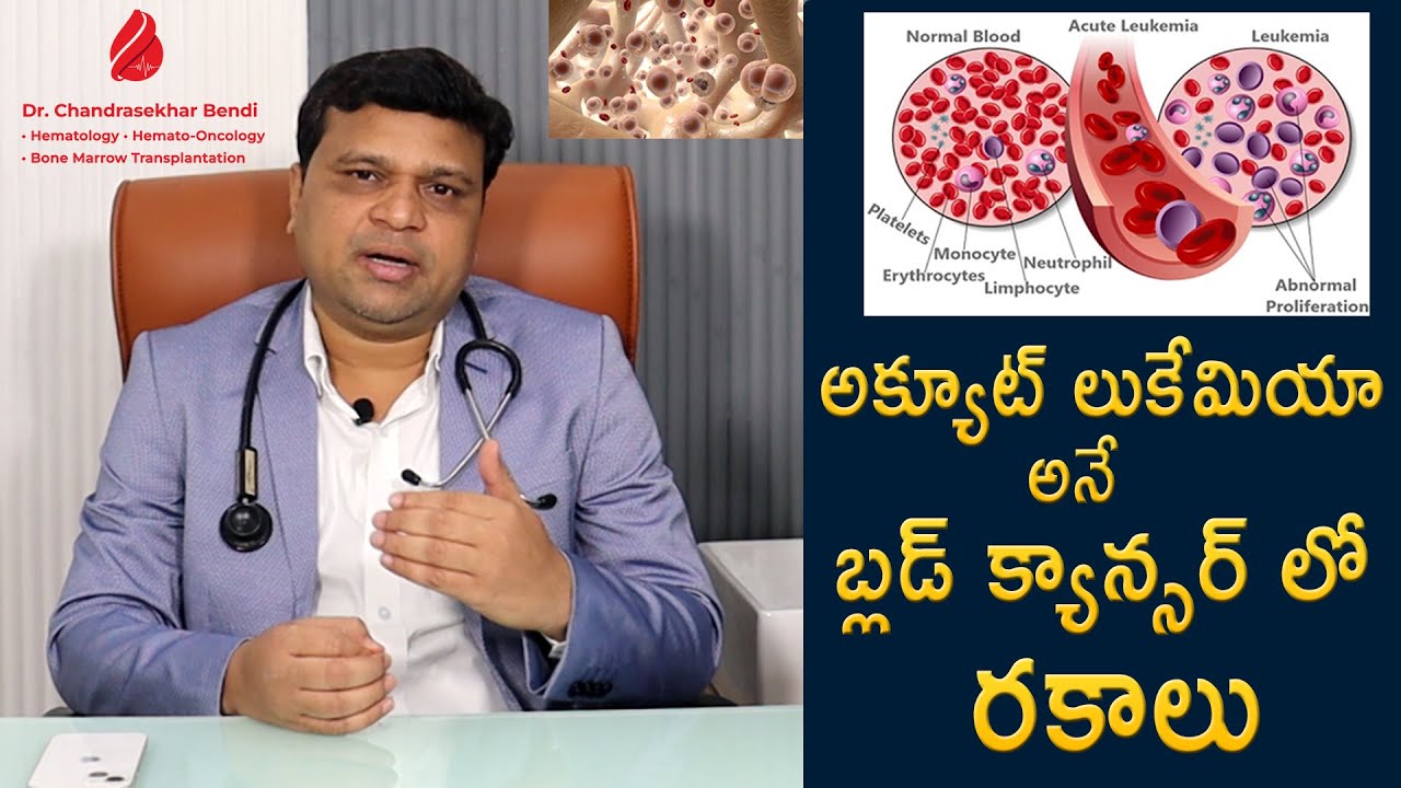 అక్యూట్ లుకేమియా అనే బ్లడ్ క్యాన్సర్ లో రకాలు #hematologist | Dr ...