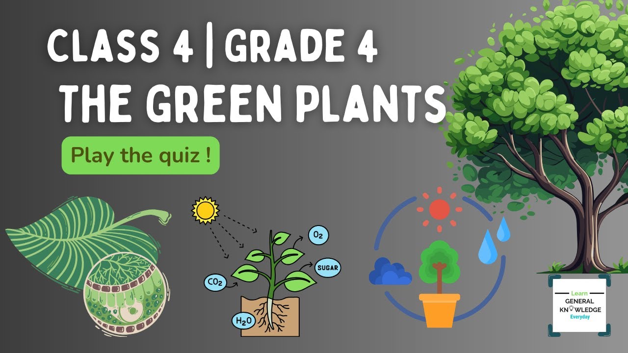 Class 4 Science Quiz – Green Plants | Grade 4 CBSE NCERT Olympiad ...