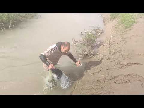 SERPME ILE BALIK AVI / RIVER NET FISHING THE BIG FISH