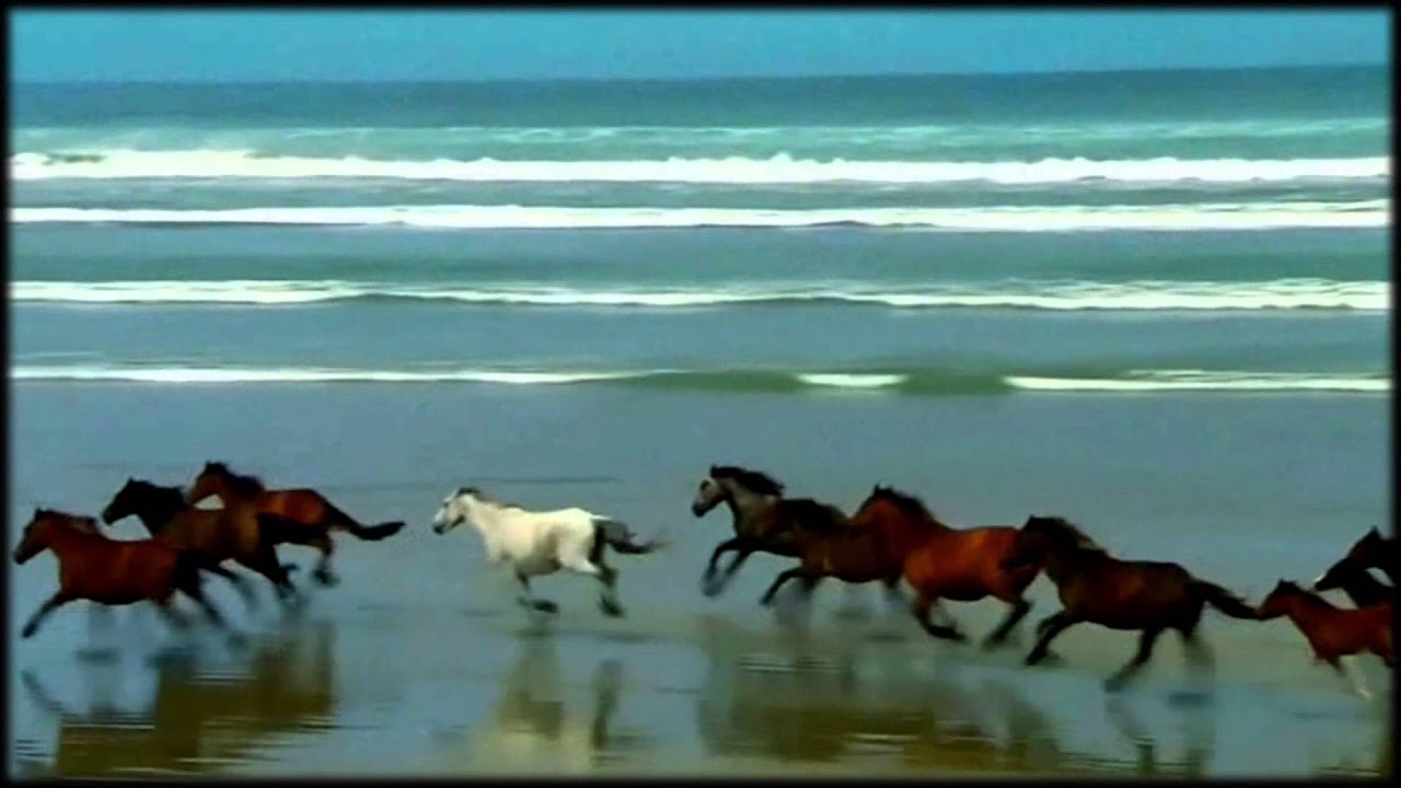 ANASTASSIS - GENESIS (Official Video) - YouTube