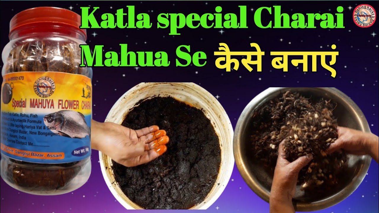Katla Machli Special Mahua Flower Charai/Char Bananeka Pura Formula Ka ...