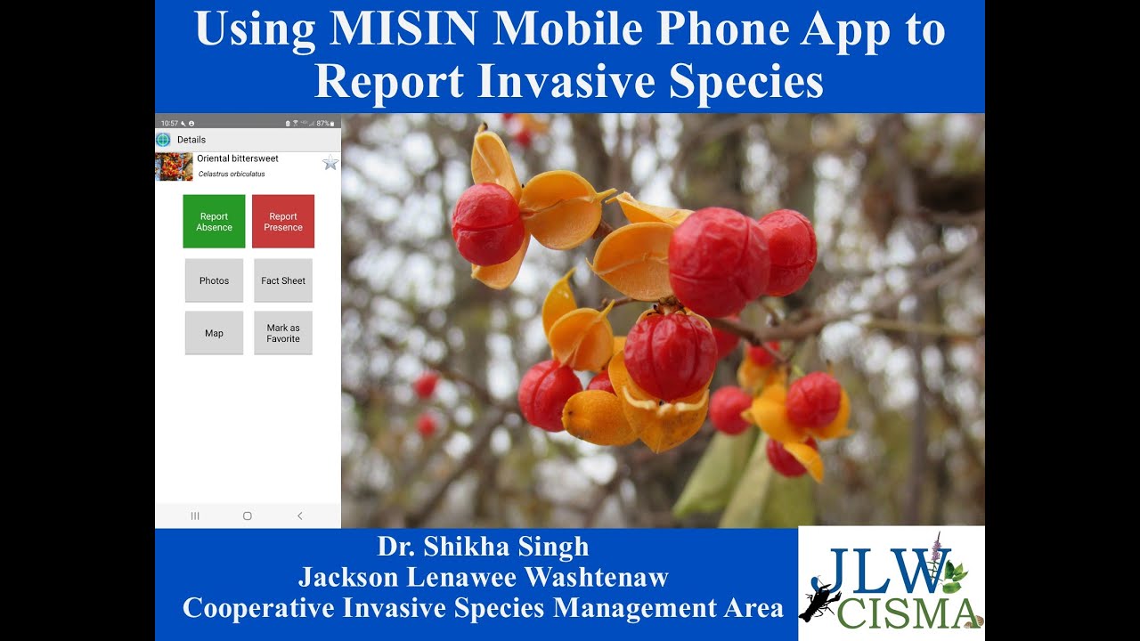 MISIN Instructional Video - YouTube