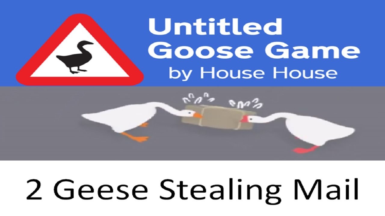 Geese Stealing Mail - YouTube