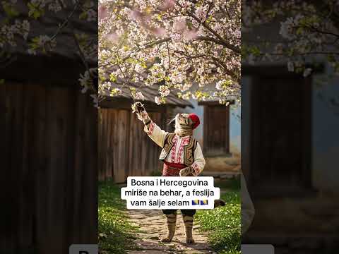 Bosanski feslija i behar - YouTube