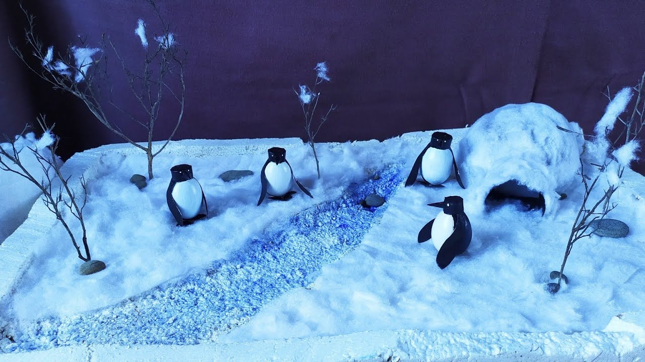 HOW TO MAKE POLAR REGION MODEL from scratch || DIY PENGUIN || DIY IGLOO ...