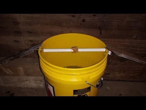 Bucket Mouse Trap