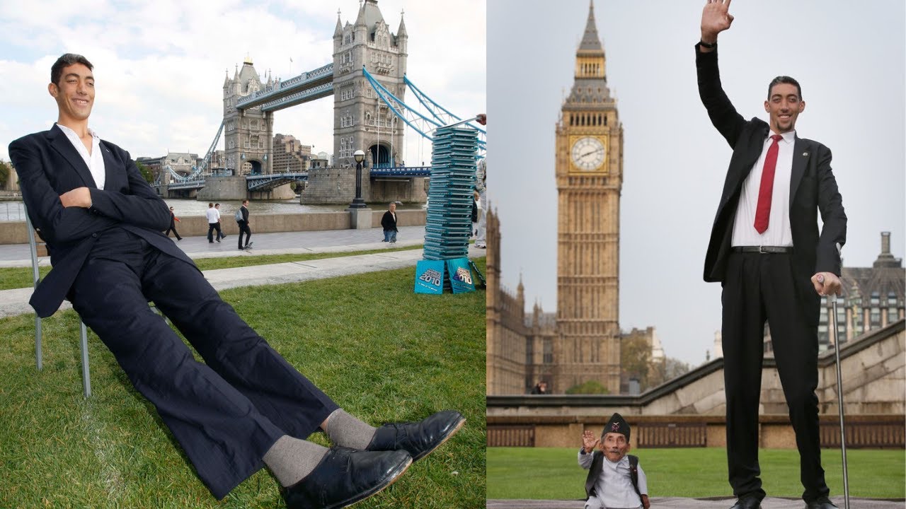 Des PERSONNES LES PLUS Grands qui ont réellement existé - YouTube