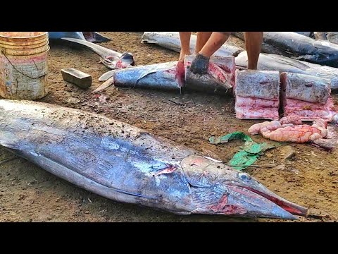| Kommu konam Fish cutting | Fishing Harbour Kakinada | - YouTube