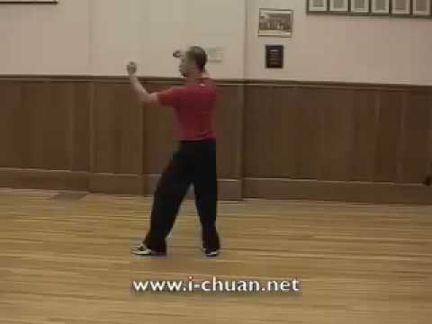 Praying Mantis Chachui Form By Sifu Gregory Fong - YouTube