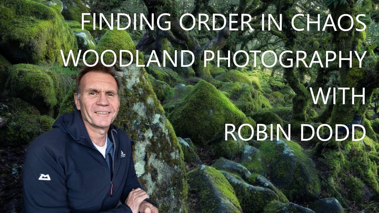 Robin Dodd Woodland Photography, Composition & Finding Order in Chaos ...