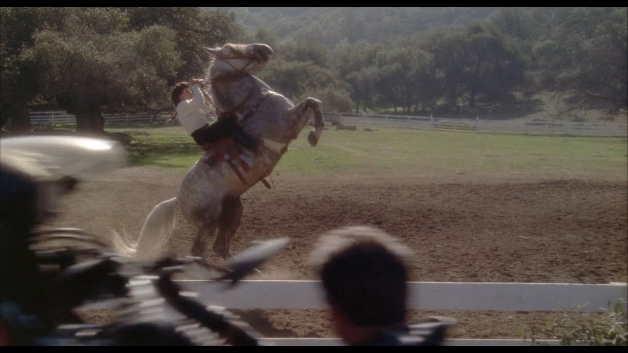 Hot Shots - Horse v Bike Scene - Dream Lover - YouTube