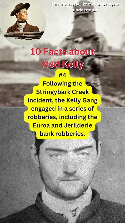 10 Facts about Ned Kelly #history #outlaws #australia ...