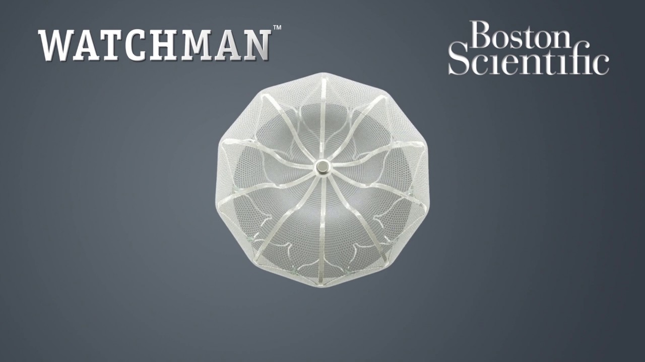 Boston Scientific Watchman - photorealistic 3D medical animation - YouTube
