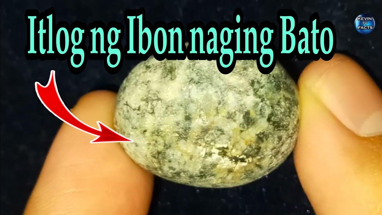 Meron pa lang ganitong makukuha sa ibong DAPLAK | Tagabulag | KEVIN TV ...