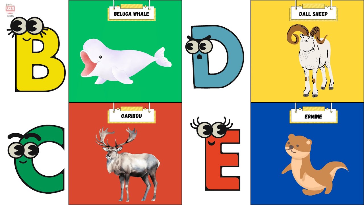 ABC Arctic Animals Song | Learn Arctic Wildlife for Kids 🎶🐻‍ ️ | #abcd ...