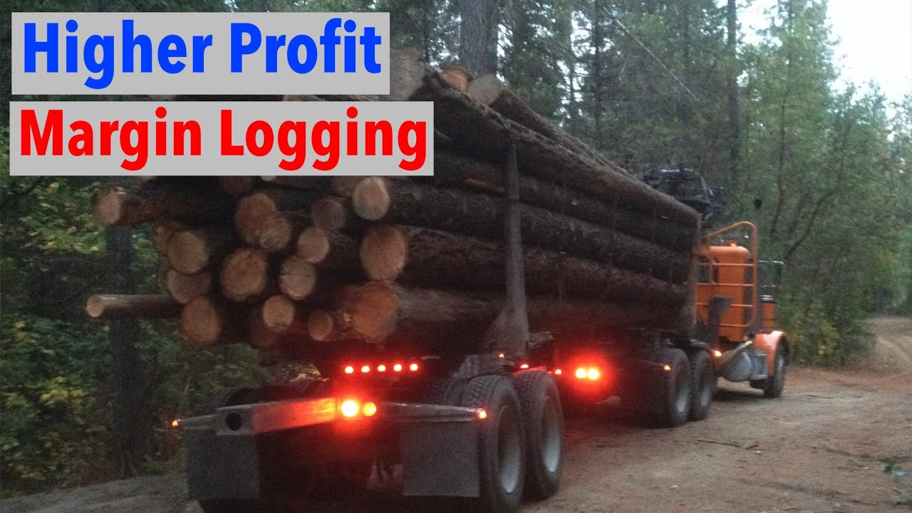 Start Low Cost Higher Profit Margin Logging Business - YouTube
