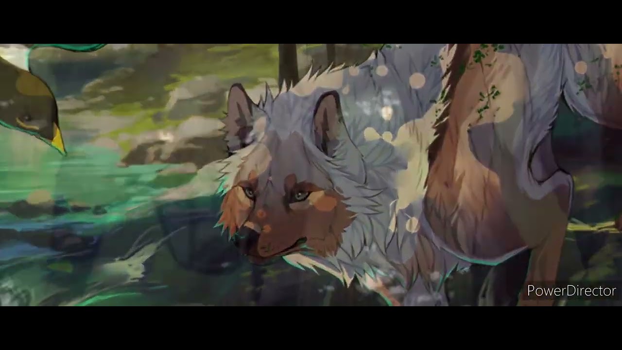 Anime Wolves-Running With The Wolves/Aurora - YouTube