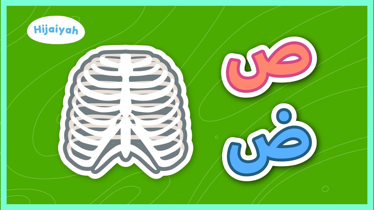 Belajar Huruf Hijaiyah Eps 8: Huruf Shod dan Huruf Dhod - Yufid Kids ...