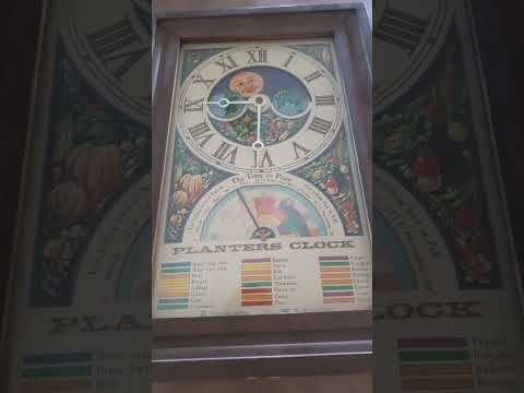 How To Set A Planters Clock