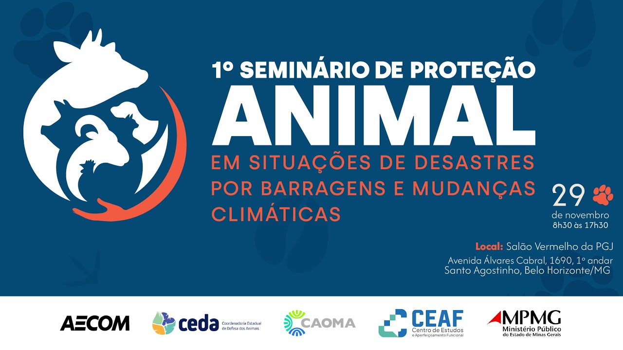 1º Seminário de Proteção animal | TV MP - YouTube