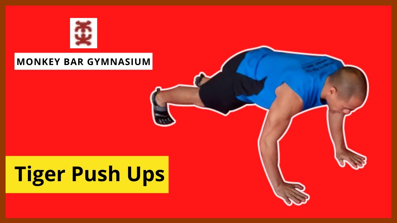 Monkey Bar Gym Tiger Push Ups - YouTube