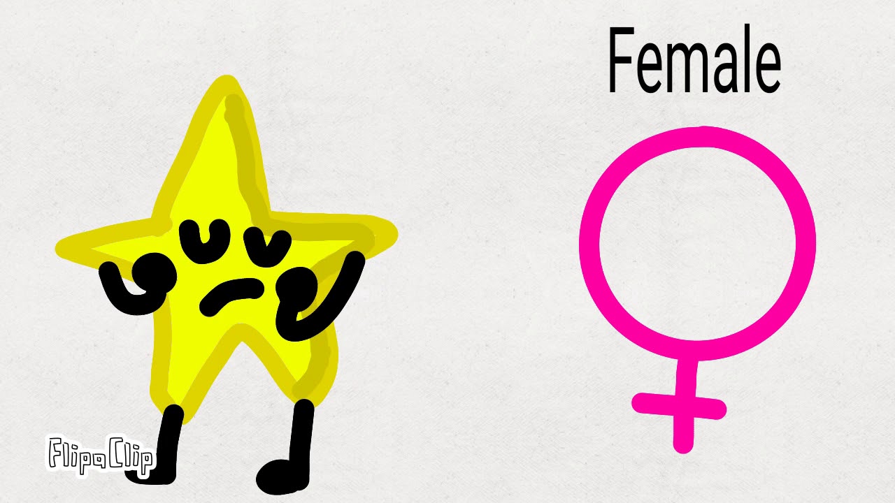Gender from my object show BFFA - YouTube