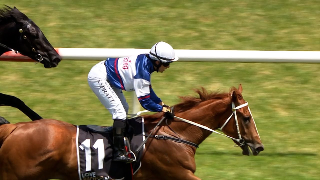 Velocious wins the Virtual Print Design & Branding 2YO - YouTube