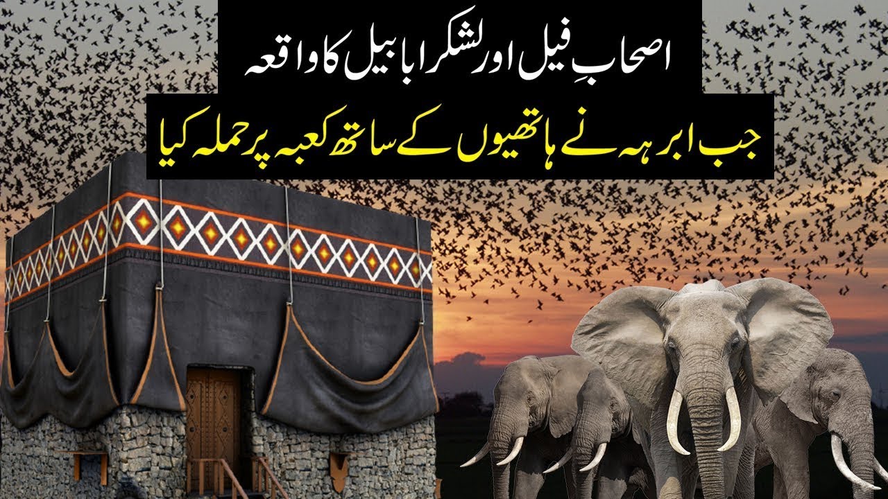 ashab e feel, abarha hatti wale badshah hamla makkah Beautiful Islam pk ...