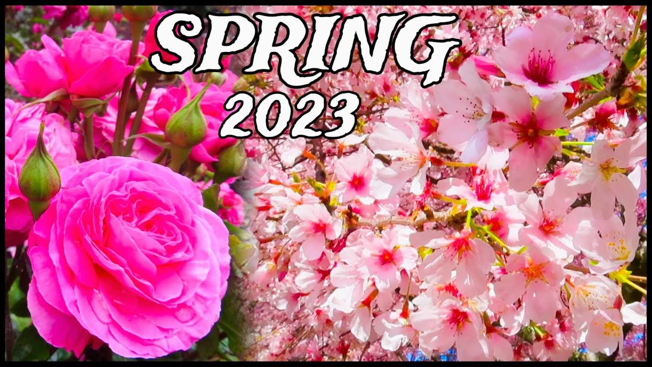 Spring 2023 | Hamilton, New Zealand - YouTube