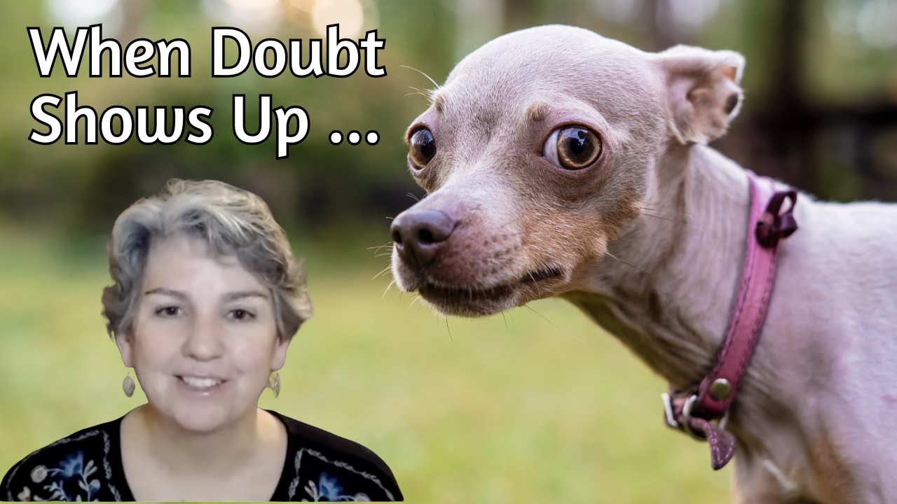 How to Deal with Doubt while Learning Animal Communication - Animal ...