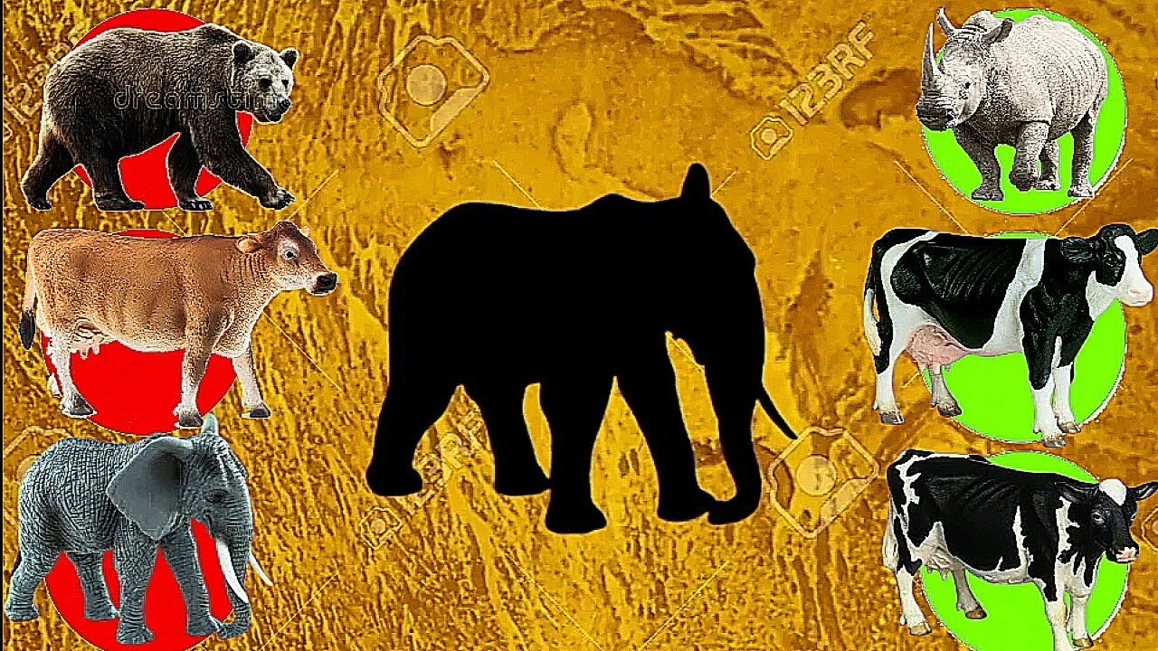 Cute holisten Cow and elephant puzzle//Indian animal puzzle bear,cow ...