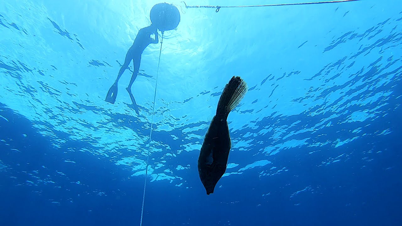 Variable weight fundives (Freediving Planet Moalboal) - YouTube