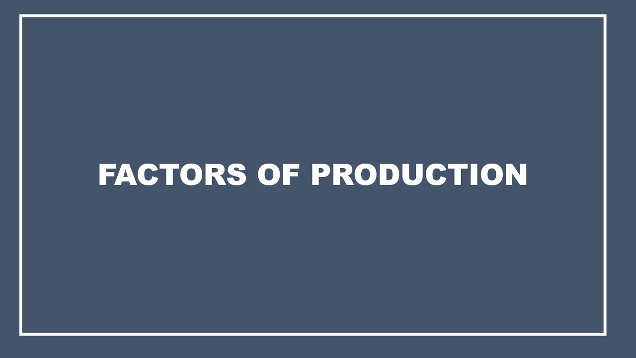 GRADE 11 ECONOMICS TERM 1 NATURAL RESOURCES & LABOUR - YouTube