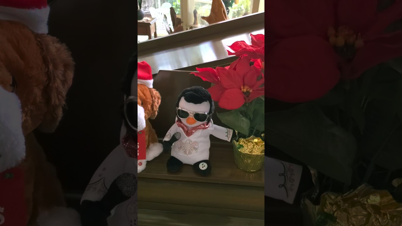 Singing Elvis Penguin - YouTube