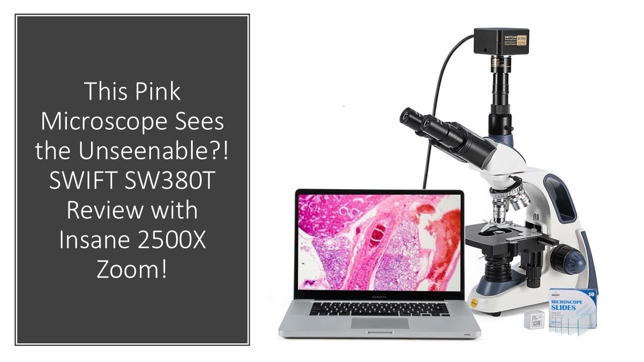 This Pink Microscope Sees the Unseenable?! SWIFT SW380T Review with ...