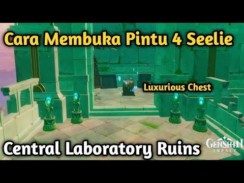 Cara Membuka Pintu 4 Seelie Terkunci | Luxurious Chest | Central Laboratory Ruins [Genshin ...