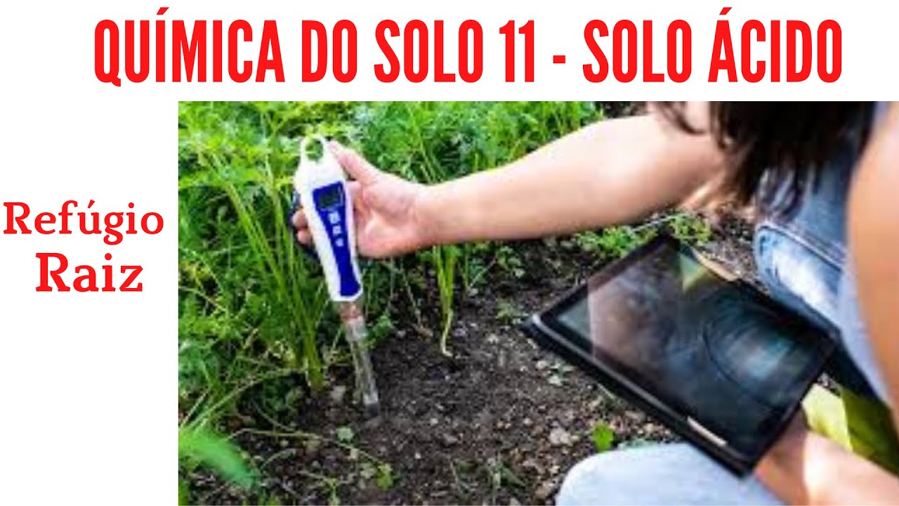 Química Do Solo 11 – Porque O Solo Fica Ácido? O Que Causa A ...