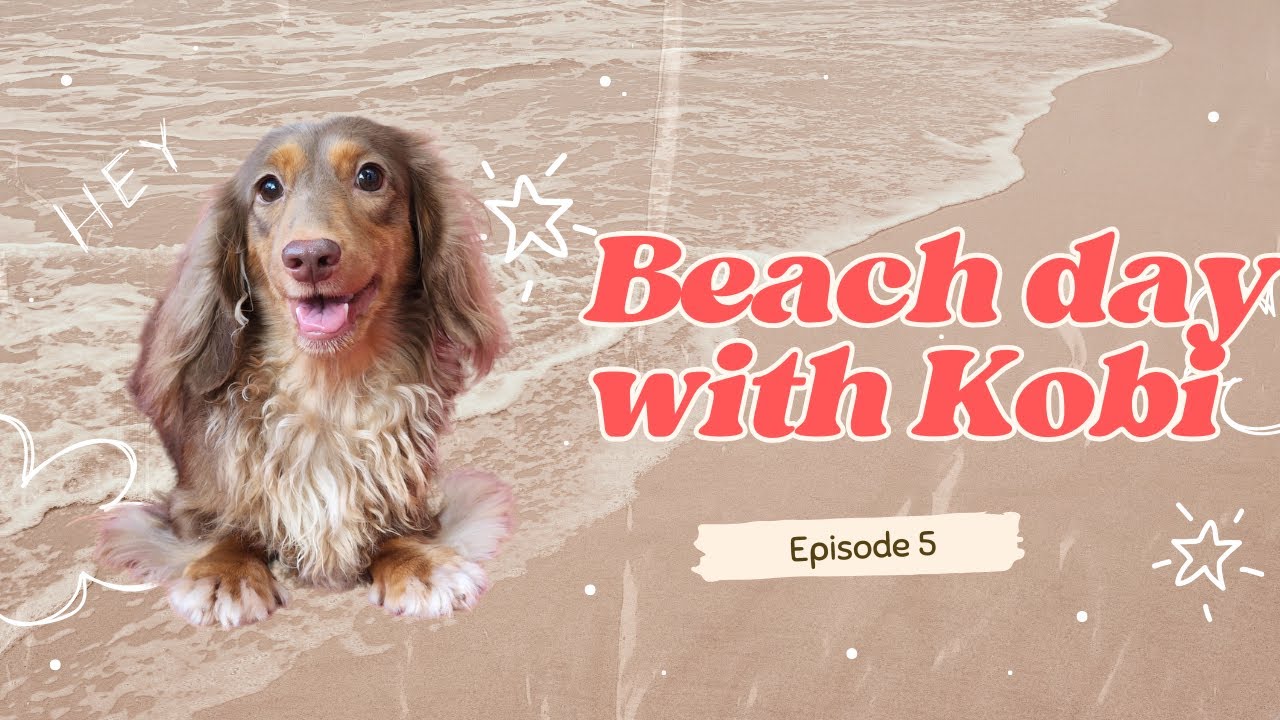 Episode 5: Beach day with Kobi - YouTube