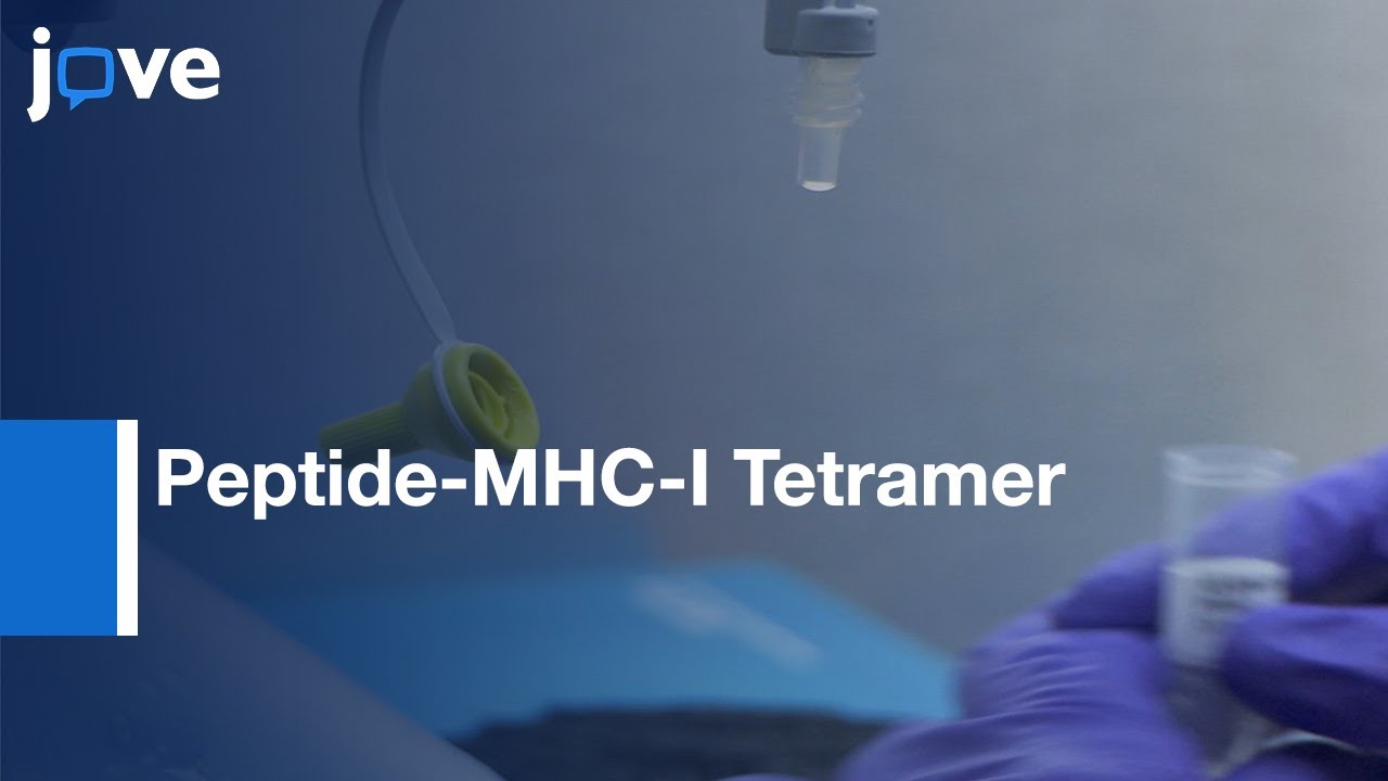 Peptide-MHC-I Tetramer Staining for Analysis of SIV T cells | Protocol ...