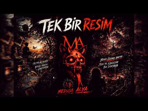 TEK BİR RESİM (Official Audio)