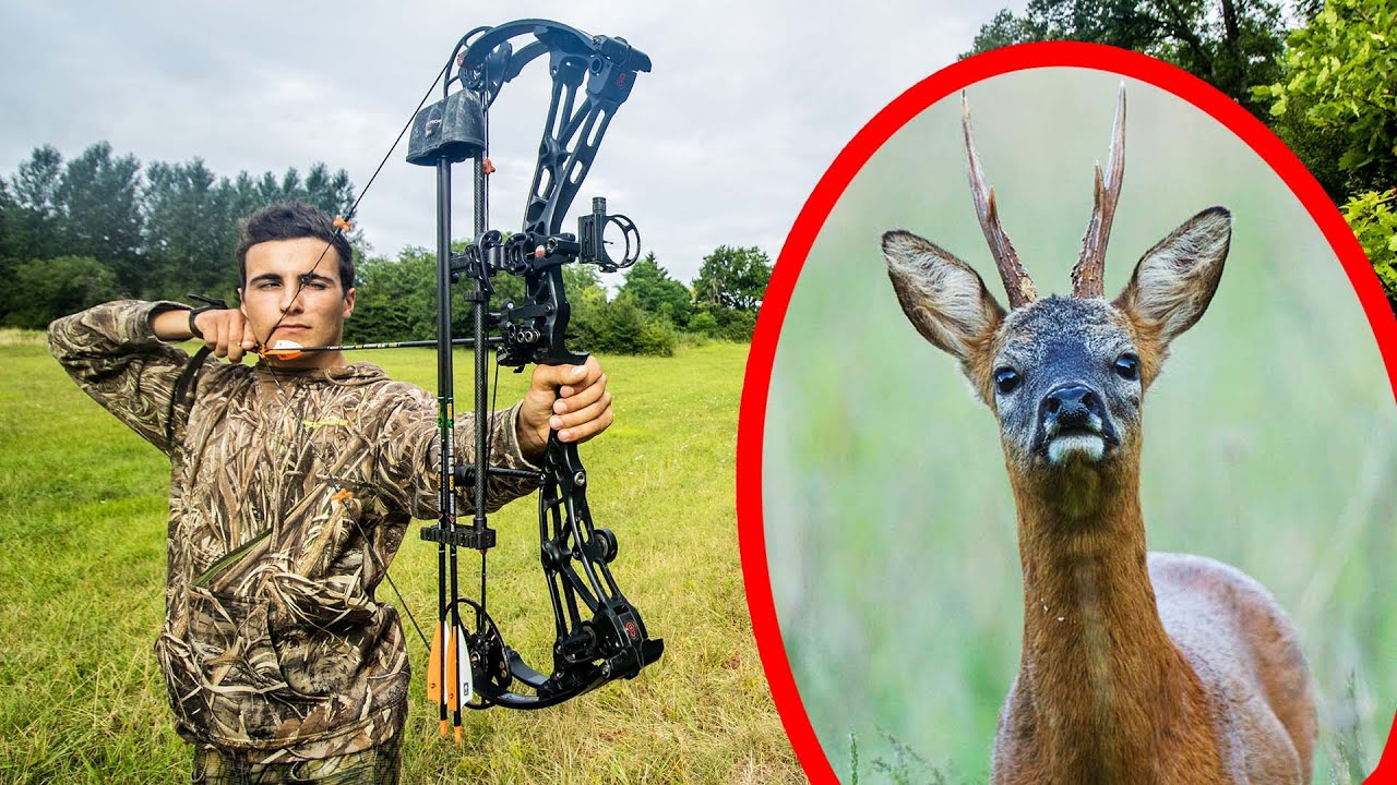 Chasse à l'Arc du Chevreuil : Mon plus GROS Chevreuil ! [Chasser ...