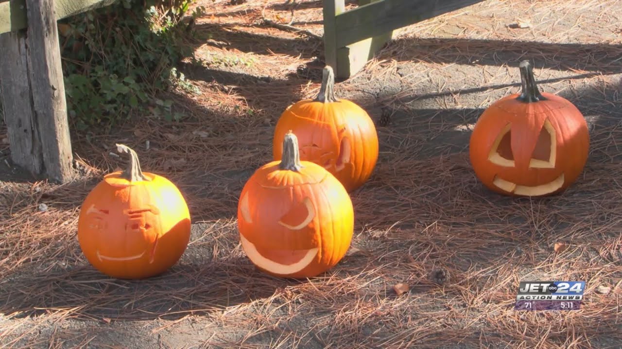 Penn State Extension’s Pumpkin Walk returns to Waldameer Park this ...
