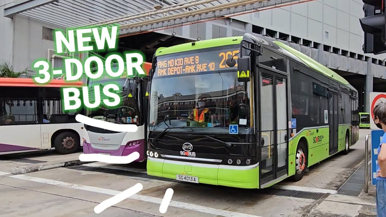 [SBST] New BYD B12A03 on Service 265 | SG4013A - YouTube